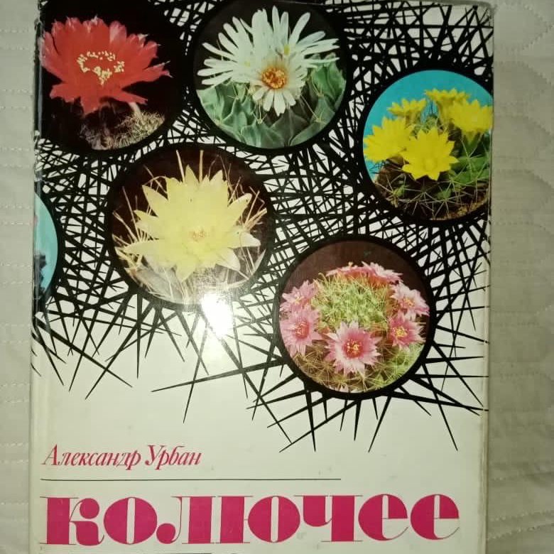 Книга Колючее чудо о кактусах – купить в Новосибирске, цена 200 руб ...