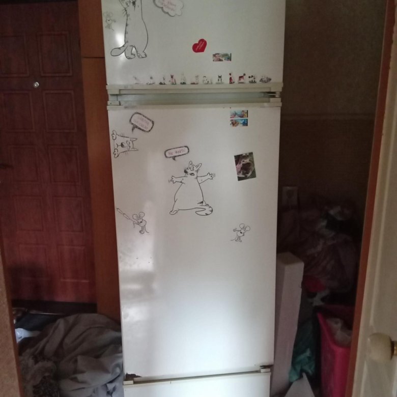 Холодильник норд – купить в Старом Осколе, цена 1 000 руб., продано 6 ...