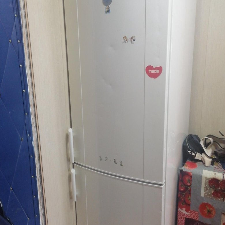 Холодильник – купить в Екатеринбурге, цена 800 руб., продано 7 сентября ...