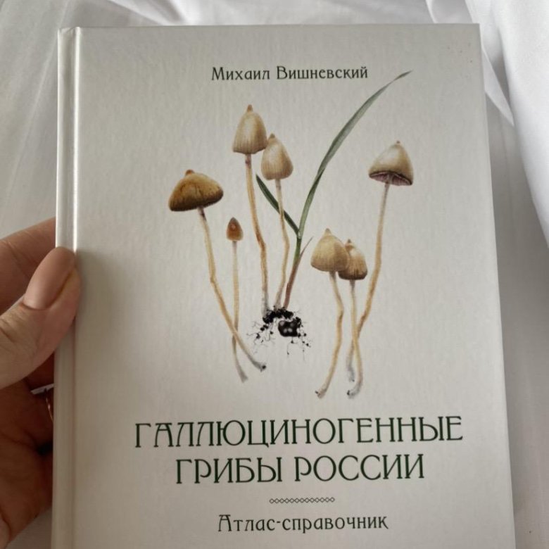 Вишневский Галюциногенные грибы России – купить в Москве, цена 2 000 ...