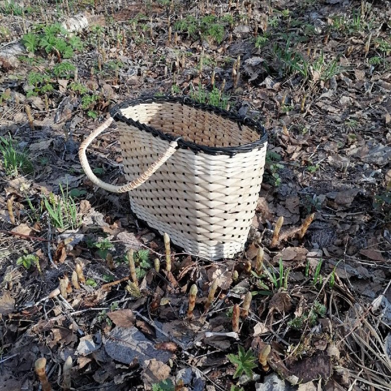 Пистики – купить в Карагае, цена 100 руб., дата размещения: 09.05.2022 ...
