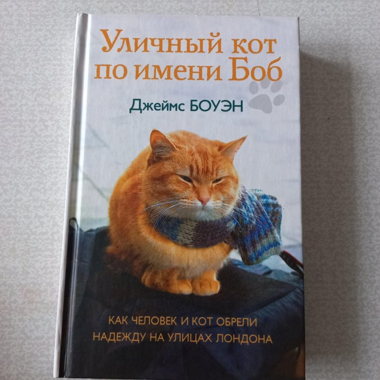 Книга "Кот по имени Боб" – купить в Екатеринбурге, цена 200 руб., дата ...