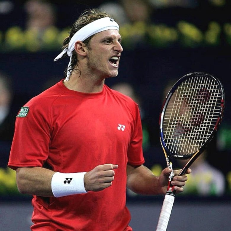 Ракетка Yonex RDX 500 MidPlus, Давид Налбандян – купить в Москве, цена ...