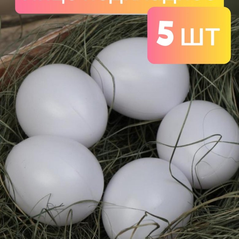 Яйцо подкладное – купить в Арамиле, цена 550 руб., дата размещения: 10. ...