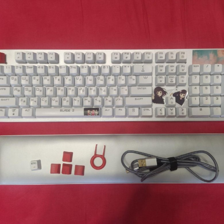 Клавиатура проводная ZET Gaming Blade 2 – купить в Владивостоке, цена 4 ...