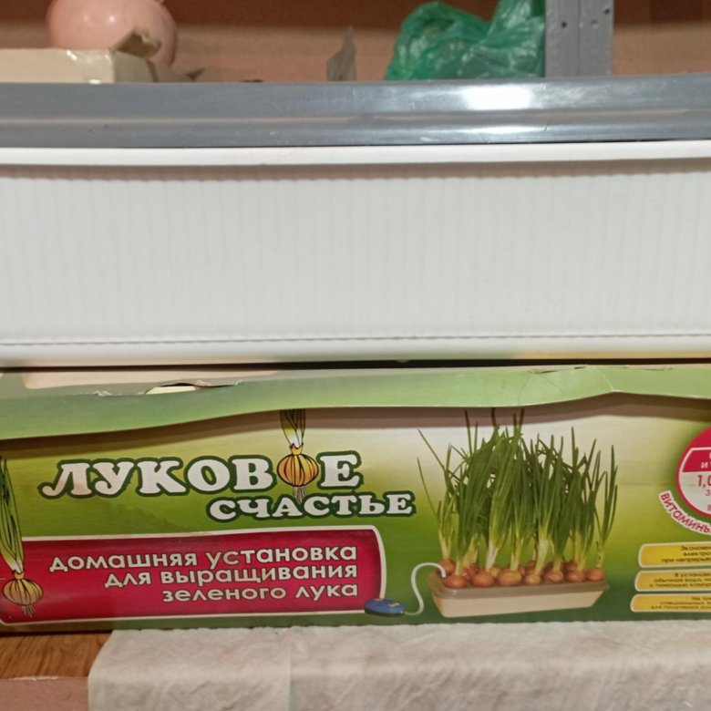 Проращеватель лука – купить в Якутске, цена 1 000 руб., дата размещения ...
