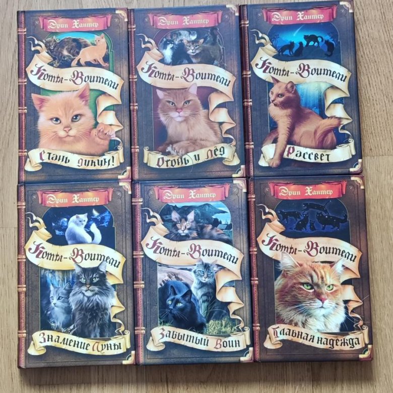 Серия книг коты-воители. Эрин Хантер – купить в Москве, цена 200 руб ...
