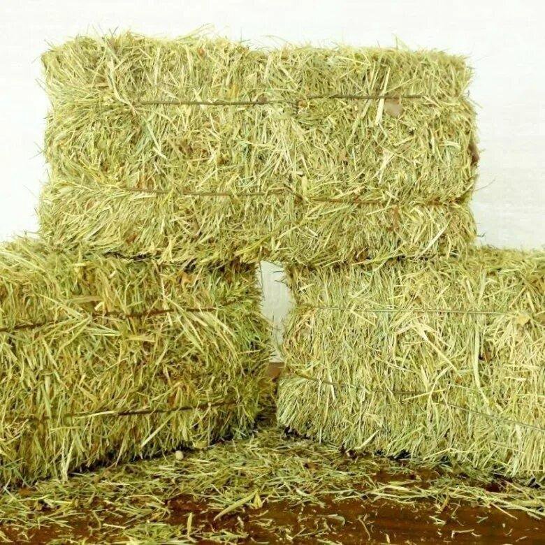 Сено купить в Тюмени цена 490 руб дата размещения 19 06 2024