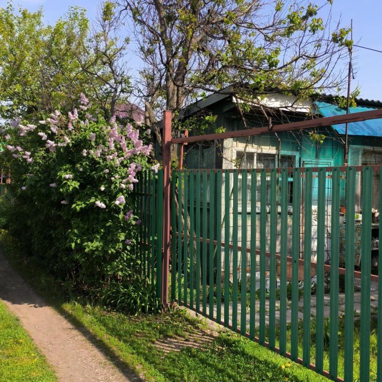 Дача, 50 м² – купить в Энгельсе, цена 500 000 руб., дата размещения: 18 ...