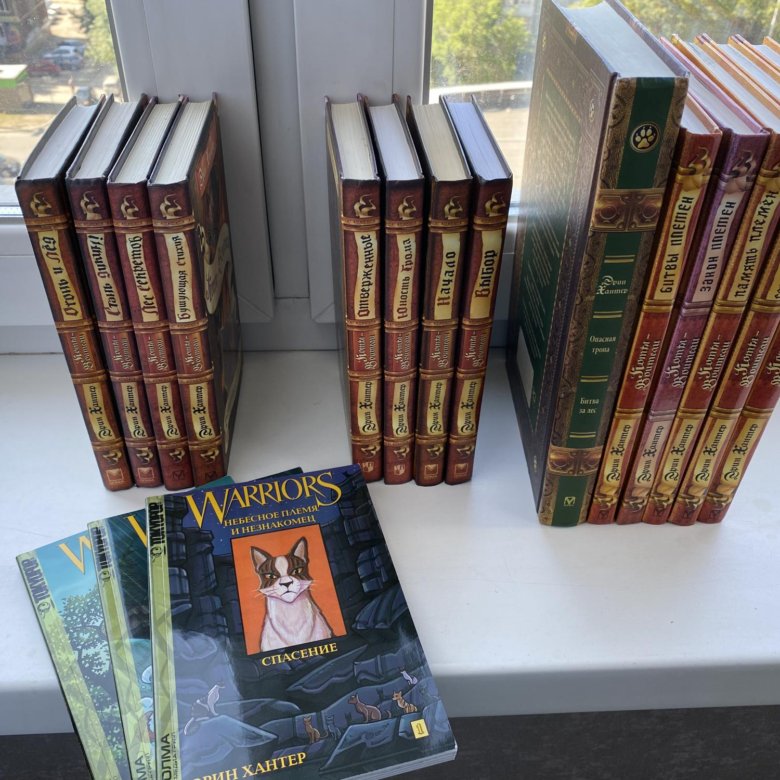 Книги Коты Воители – купить в Екатеринбурге, цена 250 руб., дата ...